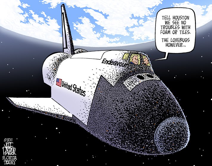 Floridians for Better Transportation Newsletter